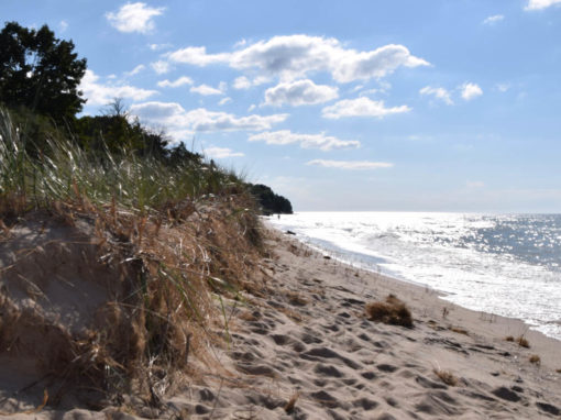 Best of the Beaches | Manistee County Tourism - Manistee, Michigan