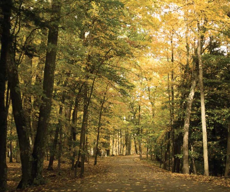 Inland Fall Color Self-Guided Tour | Manistee County Tourism - Manistee, Michigan